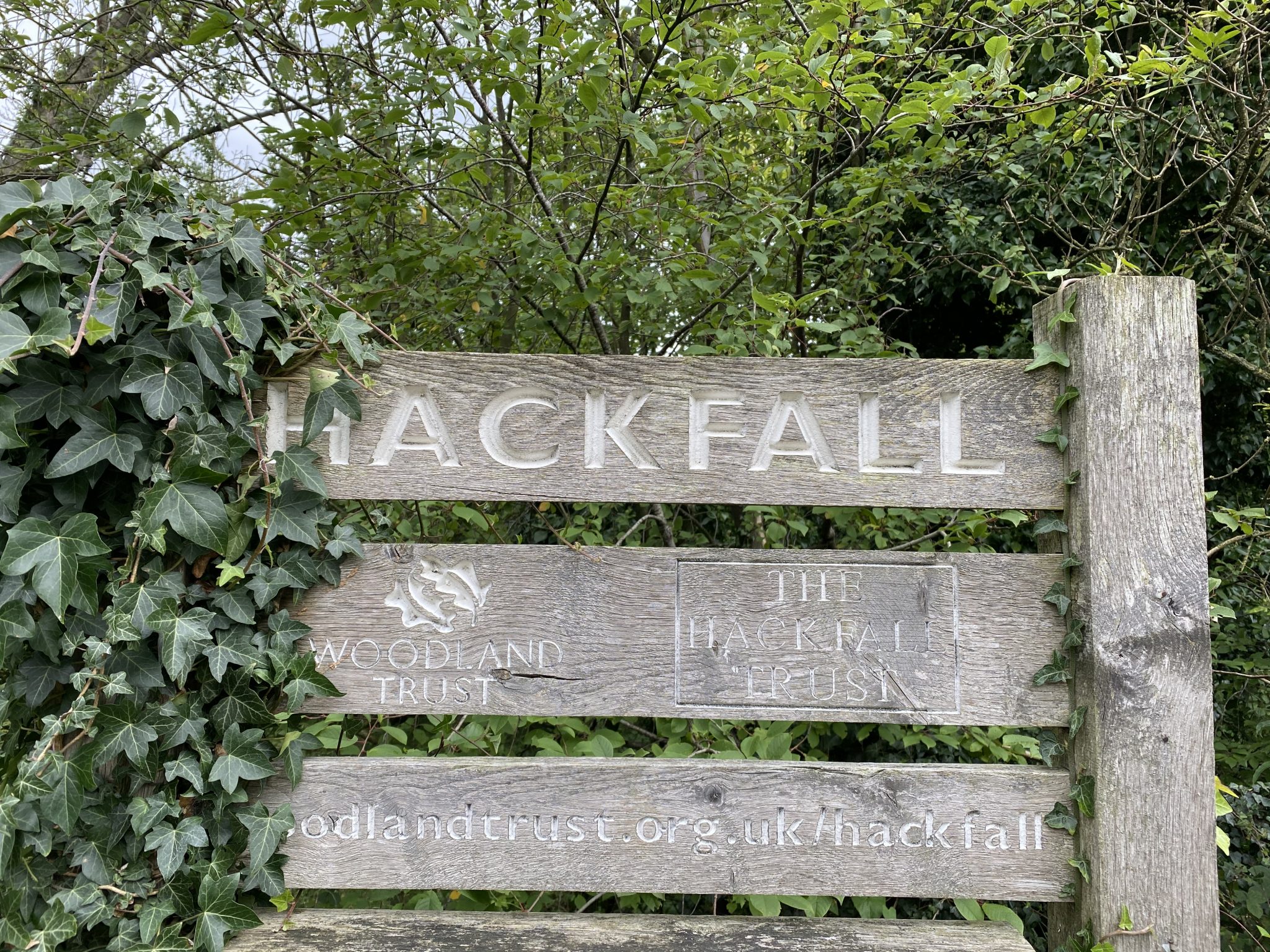 Hackfalol Woods Walk - Circular Map - A Hidden North Yorkshire Gem
