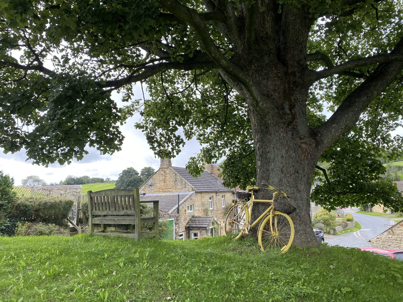 Hackfalol Woods Walk - Circular Map - A Hidden North Yorkshire Gem