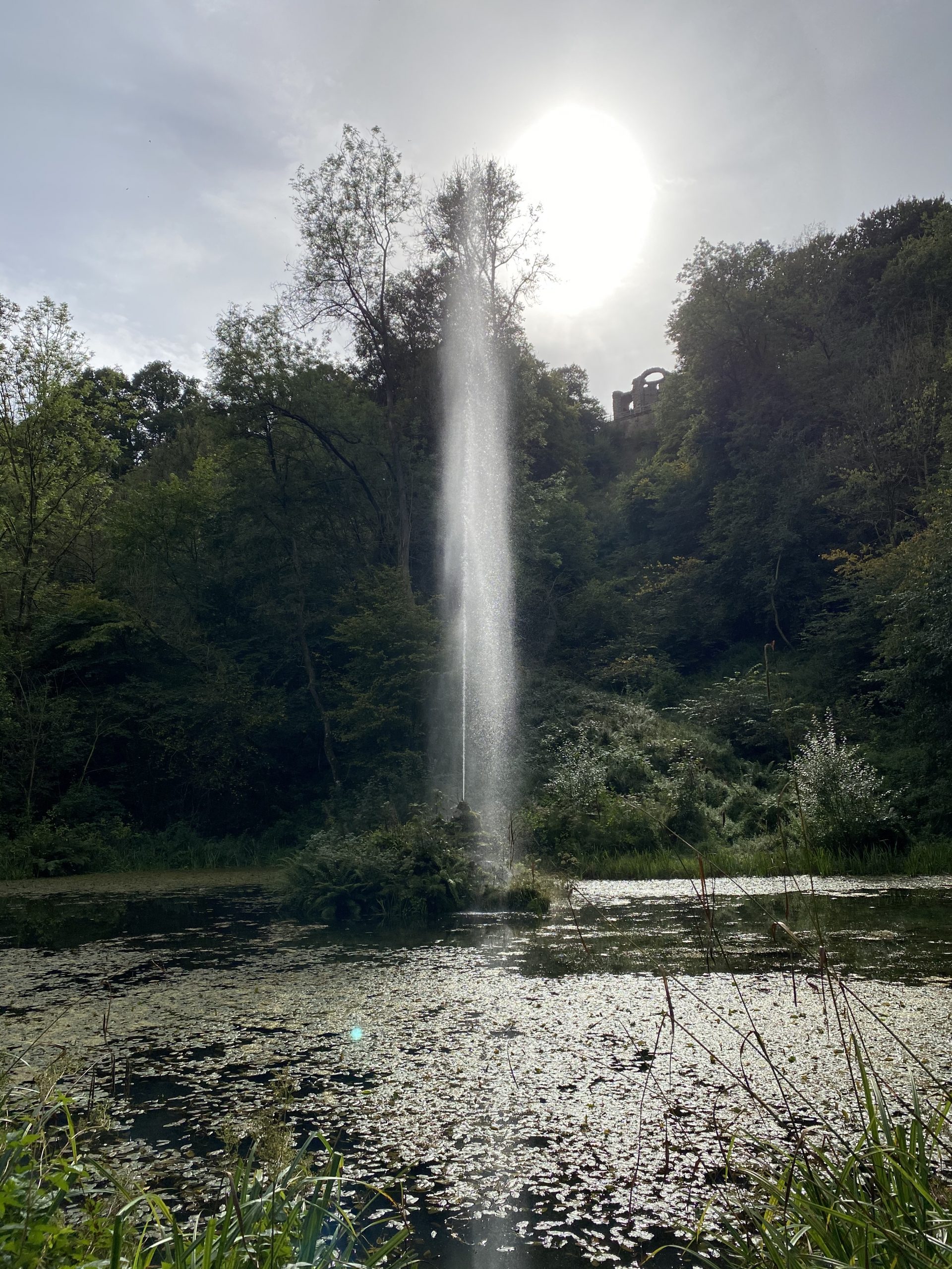 Hackfalol Woods Walk - Circular Map - A Hidden North Yorkshire Gem