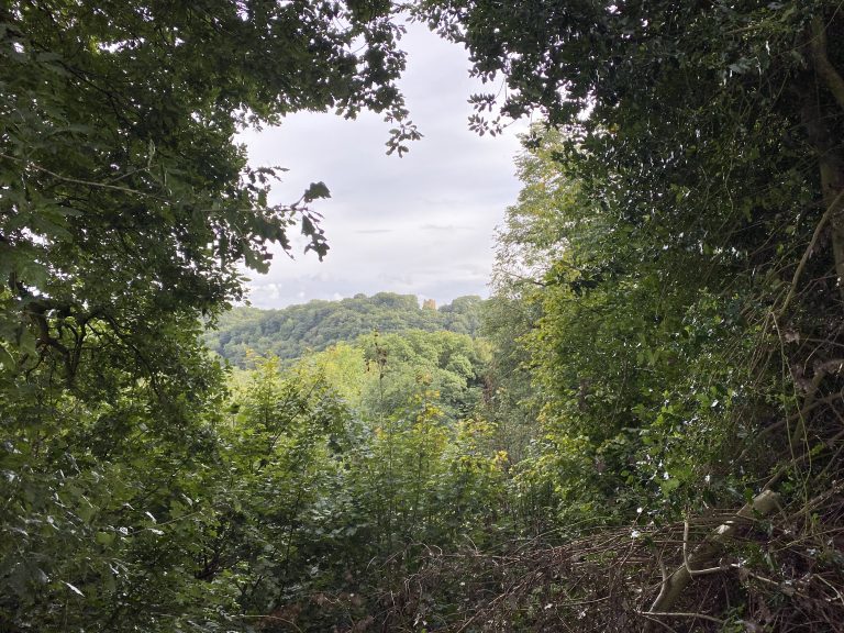 Hackfalol Woods Walk - Circular Map - A Hidden North Yorkshire Gem