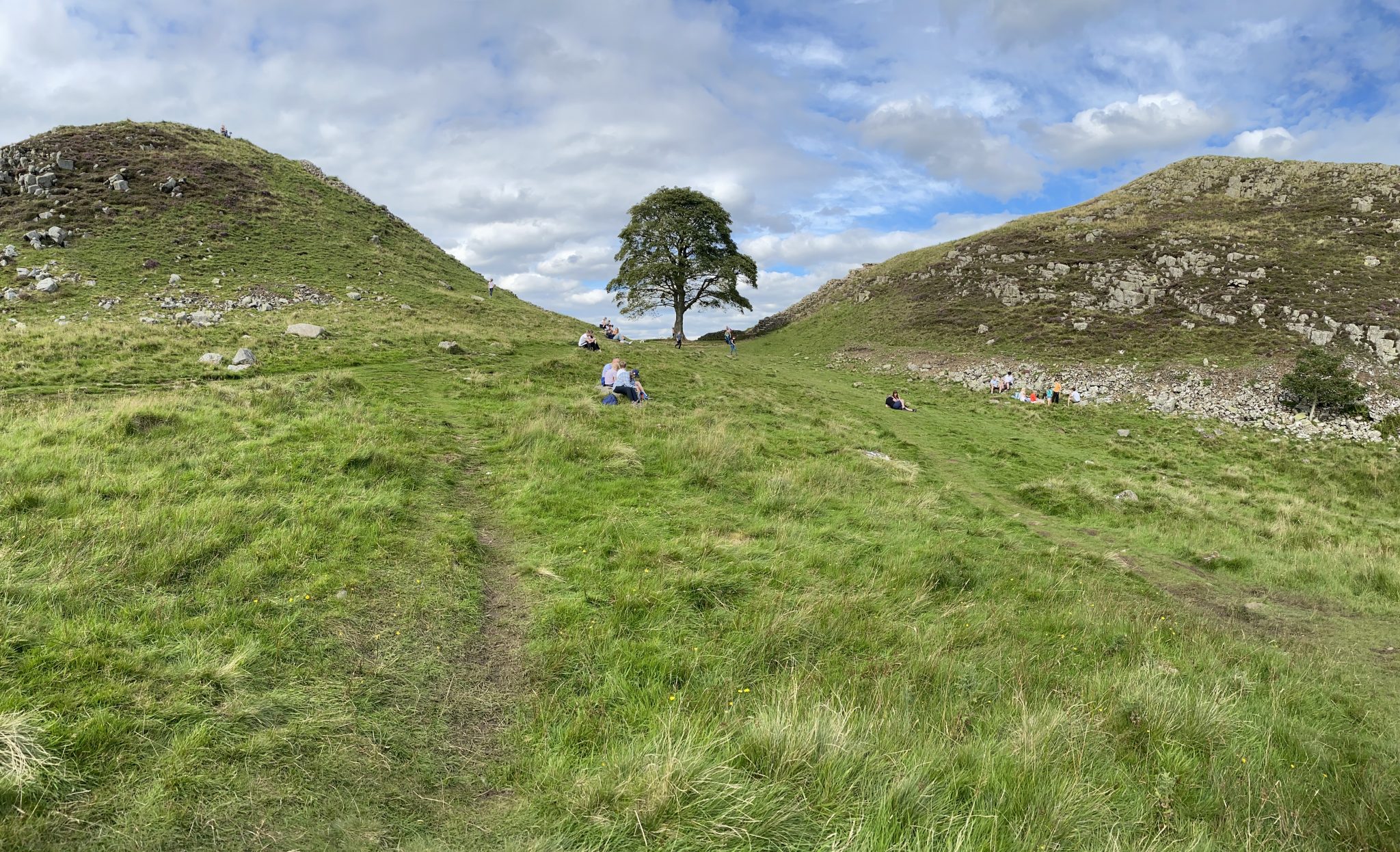 Why You Need to Visit The Robin Hood Tree (Sycamore Gap Tree)