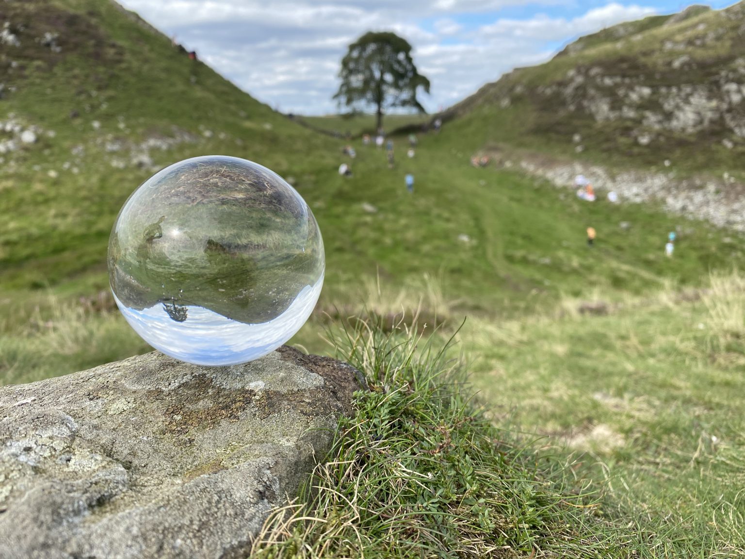 Why You Need to Visit The Robin Hood Tree (Sycamore Gap Tree)